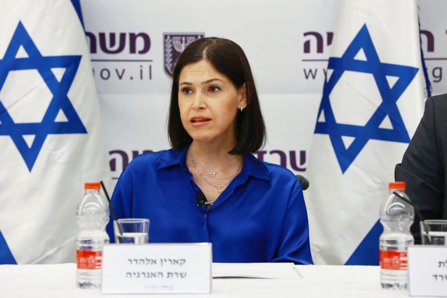 Israeli Energy Minister hopes to resolve gas row - Financial Mirror